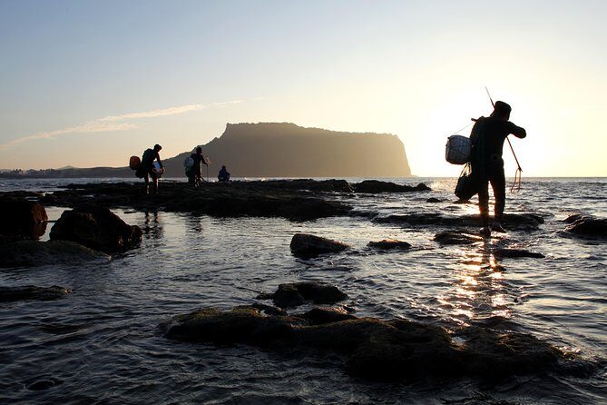 [Jeju Island] Customizable Private Taxi Tour - Final Thoughts