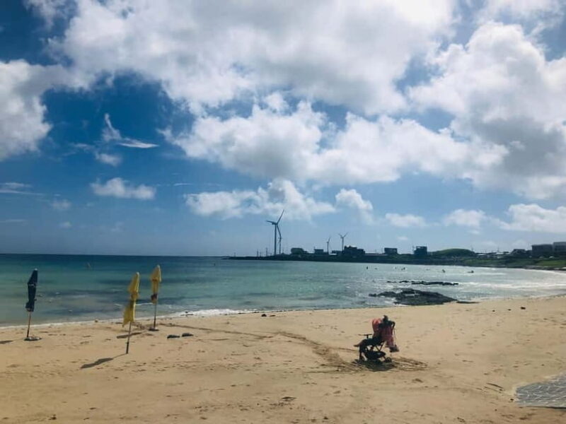 Jeju Island: Customized Private Full-Day Van Tour - What Makes This Tour Stand Out?