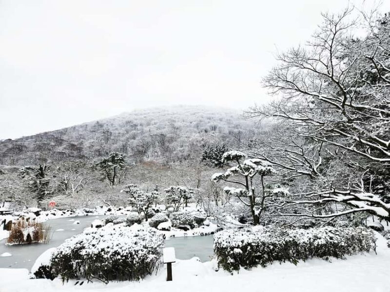 Jeju Island: East Jeju UNESCO Highlights Full-Day Tour - Key Points