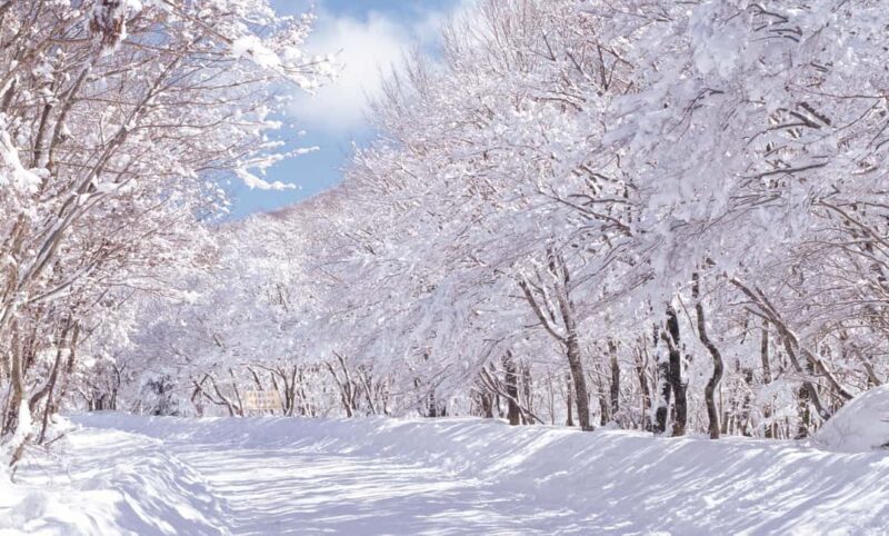 Jeju Island: East Jeju UNESCO Highlights Full-Day Tour - What Travelers Say: Authentic Experiences and Value