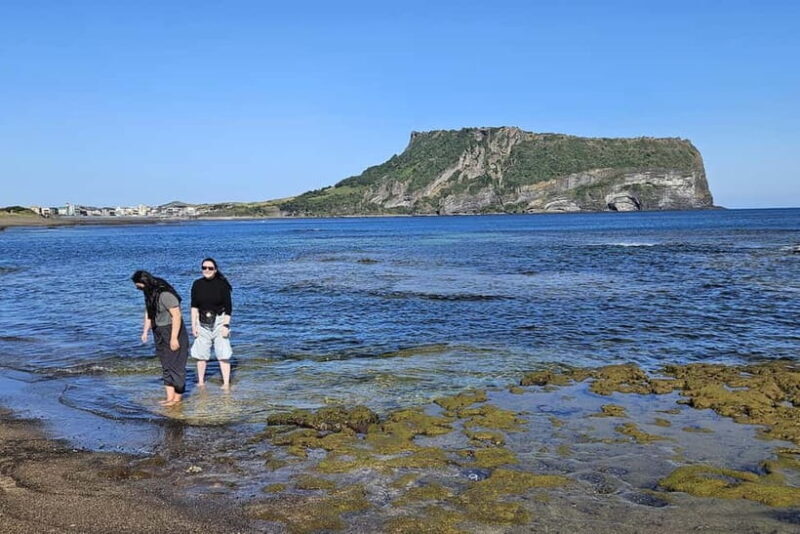 Jeju Island: East Jeju UNESCO Highlights Full-Day Tour - Final Word