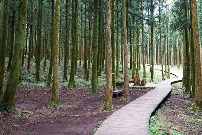 Jeju Island East UNESCO Day Tour - Seongsan Ilchulbong: A Volcanic Wonder