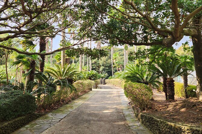 Jeju island Eastern UNESCO site Full Day Guided Tour - Real Traveler Perspectives