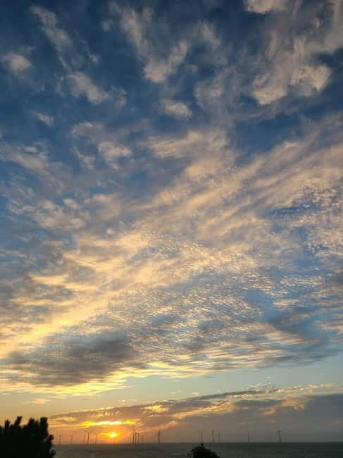 Jeju Island: Hallasan Mountain Winter Scenery Guided Tour - Final Reflections: Who Will Love This Tour?