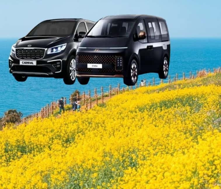 Jeju Island: Private Car Charter Tour - Exploring the Best of Jeju in Your Own Style
