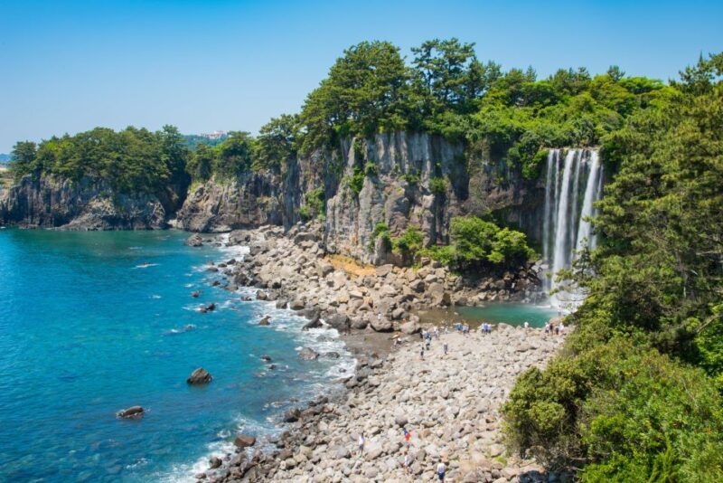 Jeju Island: Private Car Charter Tour - What to Expect on the Day