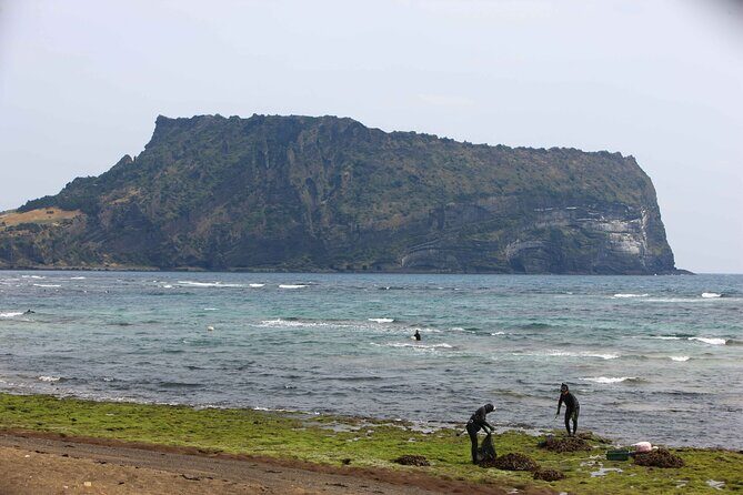 Jeju Island Private Car Tour with Expert Driver - Transportation and Practicalities