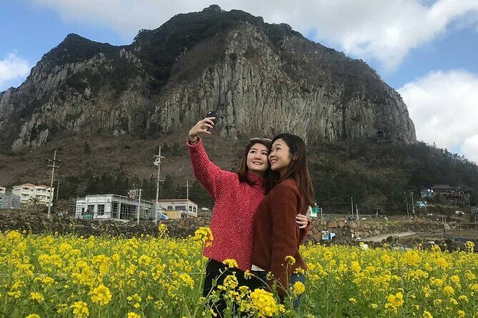 Jeju Island Private Charter Regular Taxi Tour and Free Schedule - Who Will Love This Tour?