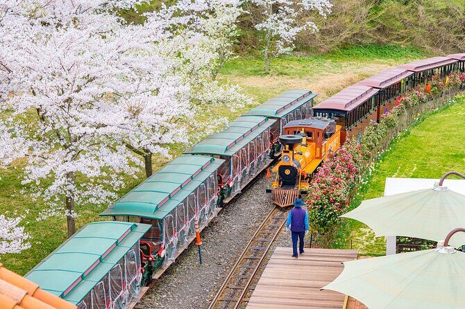 Jeju island private DAY Tour - South of Jeju - Intro: Discovering Jeju’s Southern Charm