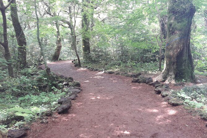 Jeju island private DAY Tour - South of Jeju - Key Points