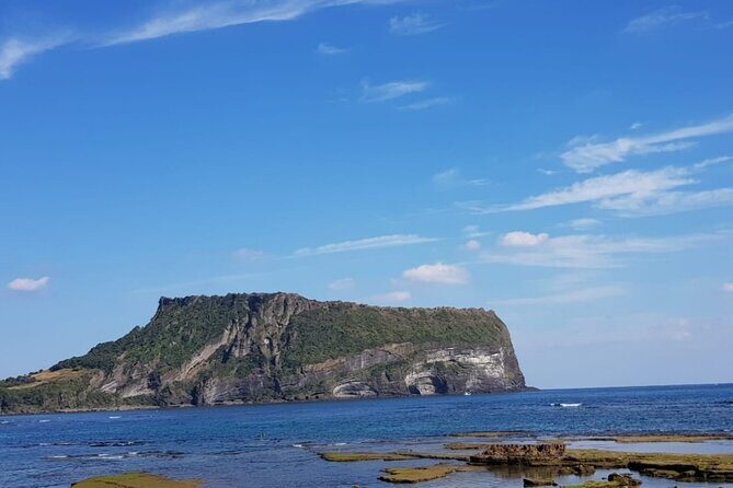 Jeju island private DAY Tour - South of Jeju - Transportation & Comfort