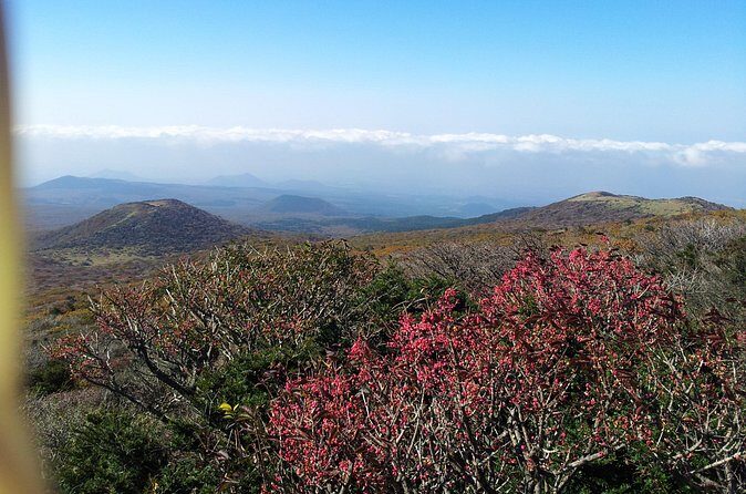 jeju island Private Taxi Hallasan Hiking Trail Transfer - One way - Tips from Other Travelers