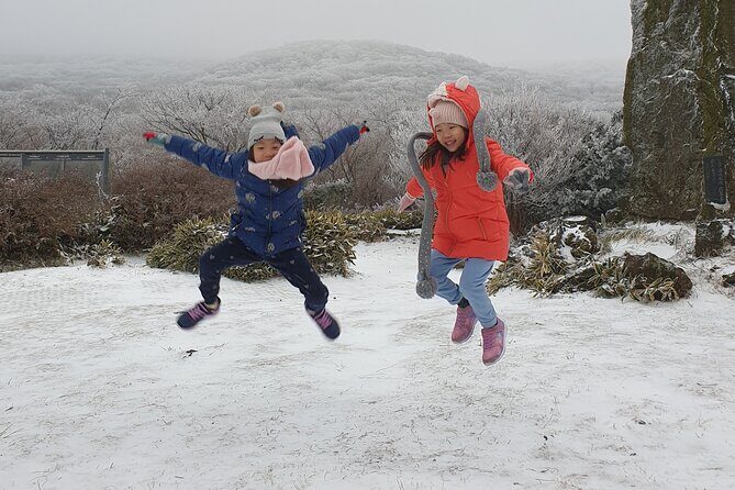 jeju island Private Taxi Hallasan Hiking Trail Transfer - One way - The Verdict
