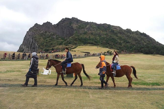 Jeju Island Private Taxi Tour : 2 Full days - Value and Costs