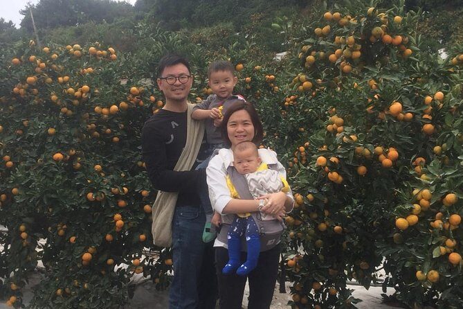 Jeju Island Private Taxi Tour : 2 Full days - Who Will Love This Tour?