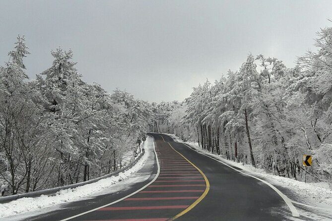 Jeju Island Private Taxi Tour: Mt. Hallasan and Waterfalls - FAQ