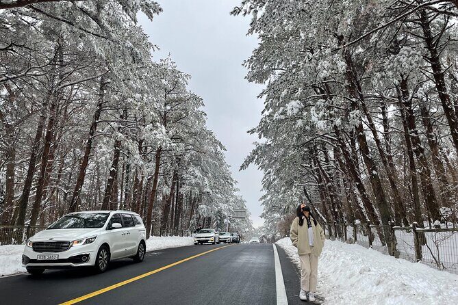 Jeju Island Snow Flower Tracking and Private Sledding Adventure - Key Points