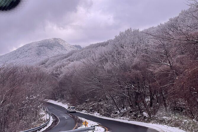 Jeju Island Snow Flower Tracking and Private Sledding Adventure - An In-Depth Look at the Tour