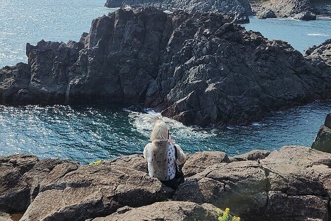 Jeju island Southern UNESCO Day Tour With Hallasan MT - Who Should Take This Tour?