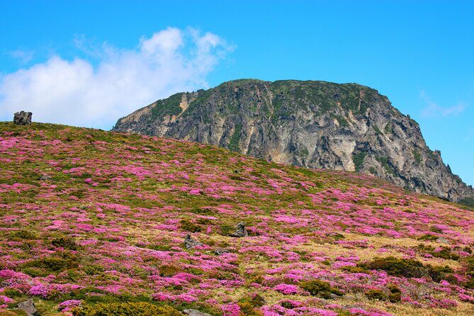 Jeju island Southern UNESCO Day Tour With Hallasan MT - FAQs