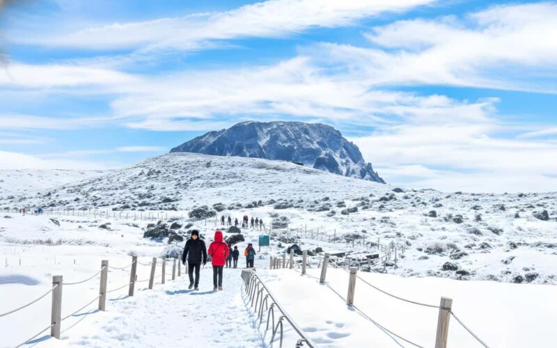 Jeju Island: SouthWest UNESCO Highlights Full-Day Tour - The Natural Wonders of Jeju in a Day