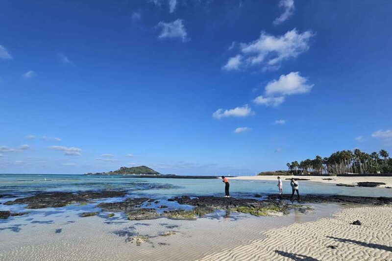 Jeju Island: SouthWest UNESCO Highlights Full-Day Tour - Who Is This Tour Best For?