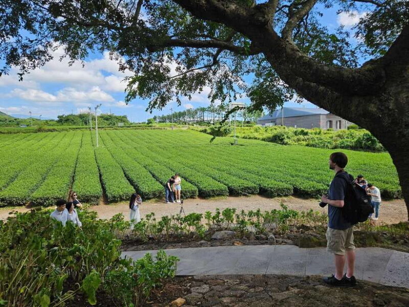 Jeju Island: SouthWest UNESCO Highlights Full-Day Tour - The Sum Up