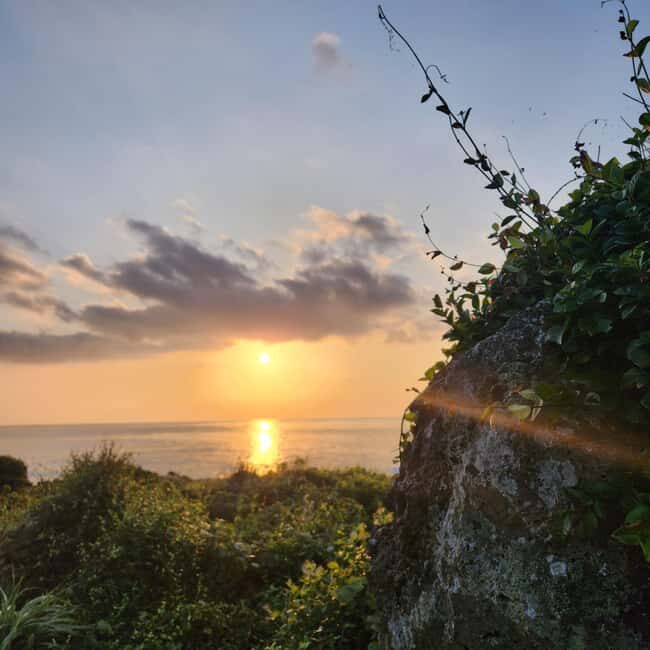 Jeju Island: Sunrise Guided Tour with Hotel Pickup - FAQs