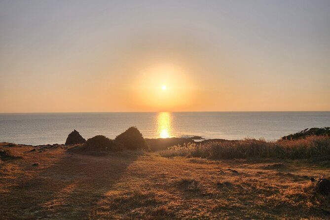 Jeju island Sunrise Tour Early Morning with Hotel Pickup - Transportation, Group Size, and Cost