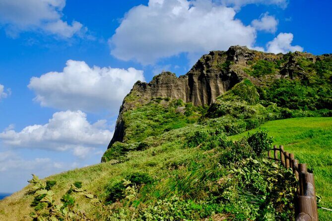 Jeju Island Taxi Join Tour - Authentic Traveler Experiences