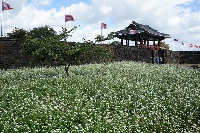 Jeju Island Taxi Join Tour - The Sum Up
