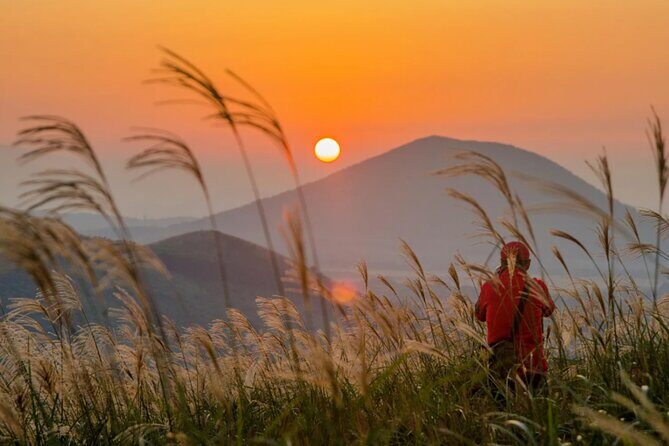 Jeju Island Taxi Join Tour - FAQ