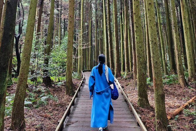 Jeju Island UNESCO Heritage Bus Tour - Final Thoughts