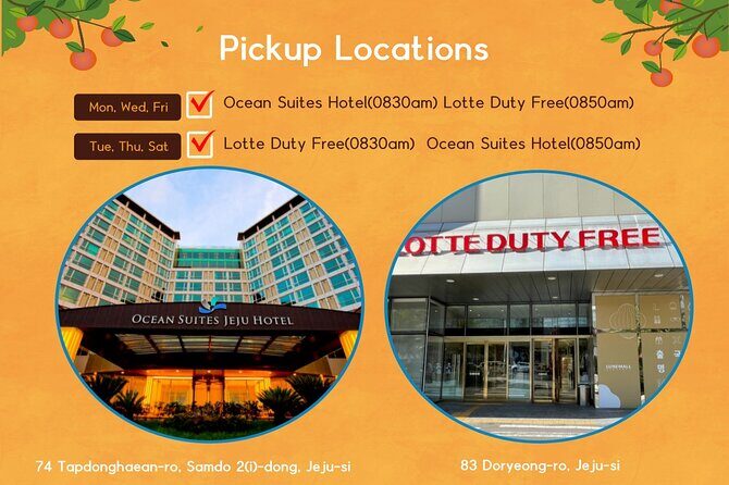 Jeju Island UNESCO Heritage Bus Tour - Pricing & Value Analysis