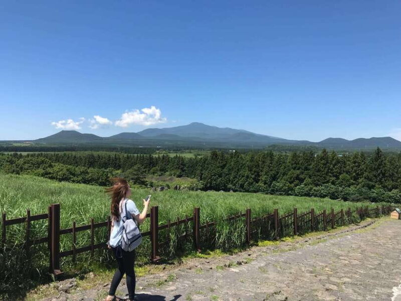 Jeju island: Van tour with a guide who the most loves JEJU - Authentic Experiences Visible in the Reviews