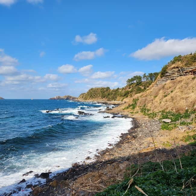 Jeju: Popular Sightseeing Private Car Charter Tour - Key Points