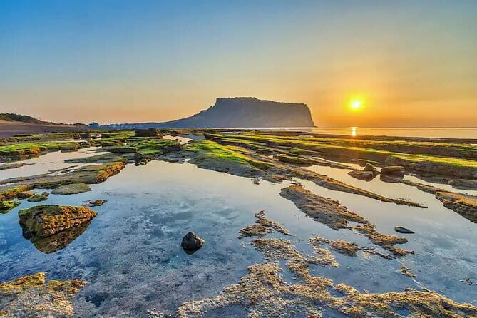 Jeju Private Car Charter Tour - Exploring Jeju: A Deep Dive into the Private Car Tour