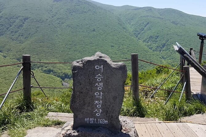 Jeju Private Car Charter Tour - The Sum Up: Is This Tour for You?