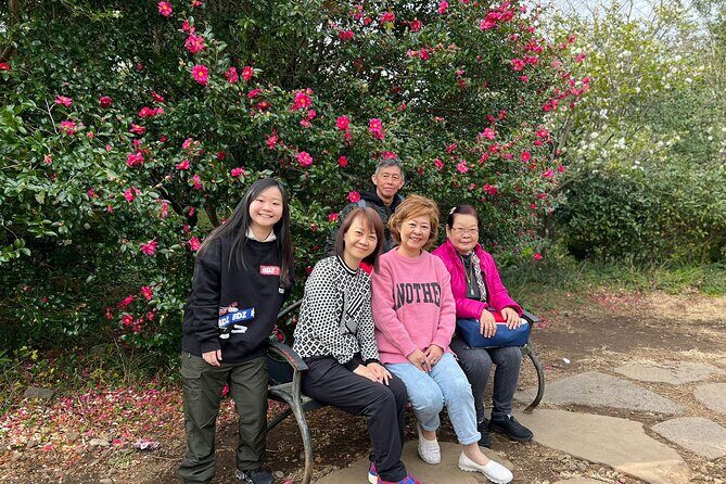 jeju Private Day Taxi tour - West of Jeju Island - What Travelers Say and Why It Matters