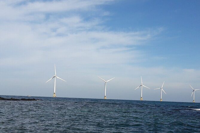 jeju Private Day Taxi tour - West of Jeju Island - Who Will Love This Tour?