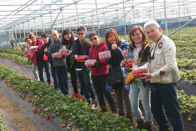 jeju Private Day Taxi tour - West of Jeju Island - The Sum Up: Is This the Right Tour for You?