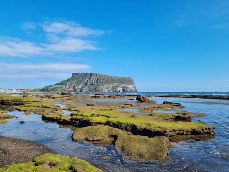 Jeju Private Taxi Tour with a Licenced English Guide-Driver - FAQ