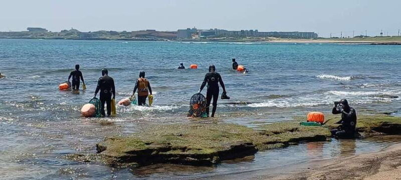 Jeju: Private Tour with an English Guide and a Vehicle - Key Points