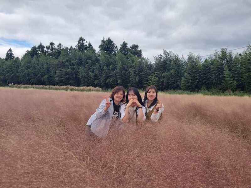 Jeju: Private Van Sightseeing Tours with Licensed Tour Guide - Final Thoughts