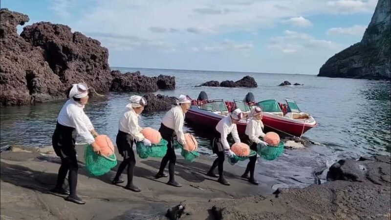 Jeju: Private VIP Day Tour with Tickets - What Travelers Say: Authentic Experiences and Guide Excellence