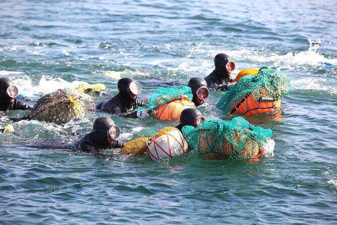 Jeju Shore Excursion for Cruise Passengers: UNESCO & Highlights - Who Will Appreciate This Tour Most?