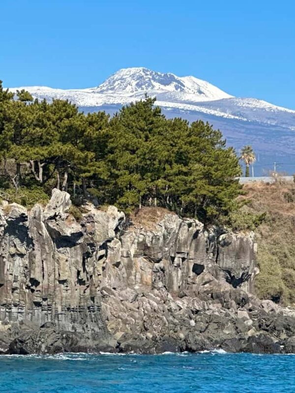 Jeju Small Group Tour incl. Yacht Cruise, Falls & Mt.Halla - Final Thoughts