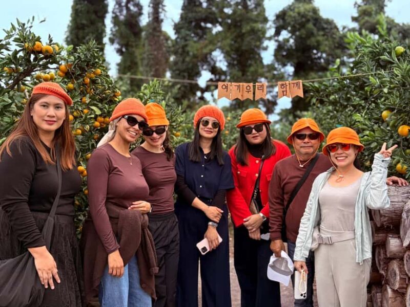 Jeju: Small Group Tour w/Pink Muhly & Tangerine Picking - Who Will Love This Tour?