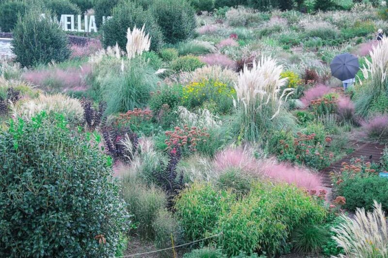 Jeju: Small Group Tour w/Pink Muhly & Tangerine Picking - The Sum Up