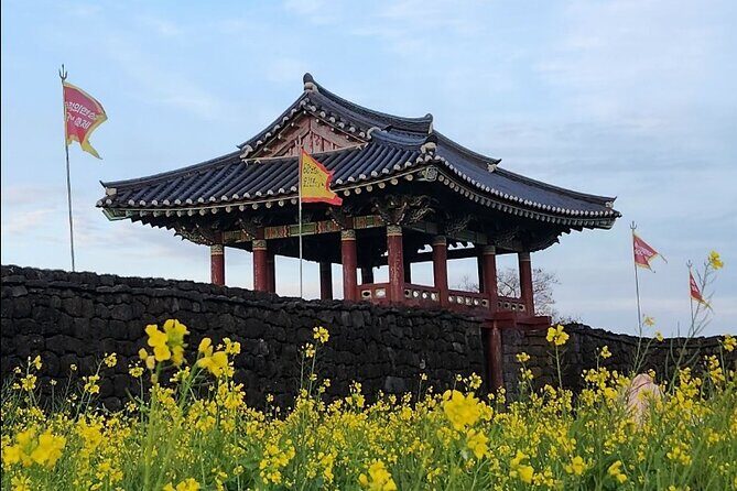 Jeju Taxi Tour KJ with Flexible scheduling - Authentic Experiences from Travelers